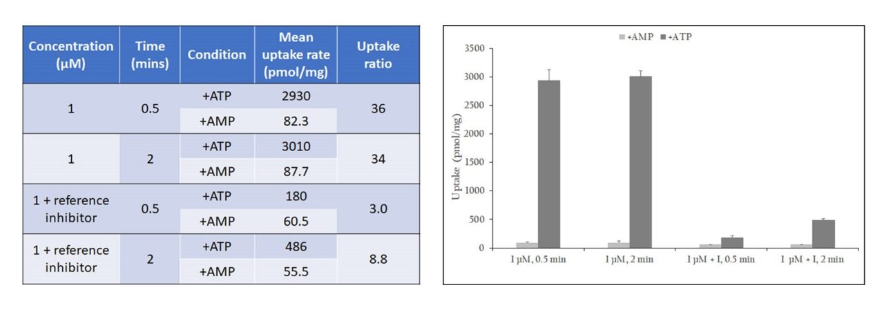 Mitigating False Negatives in P-gp & BCRP Substrate Identification - Evotec