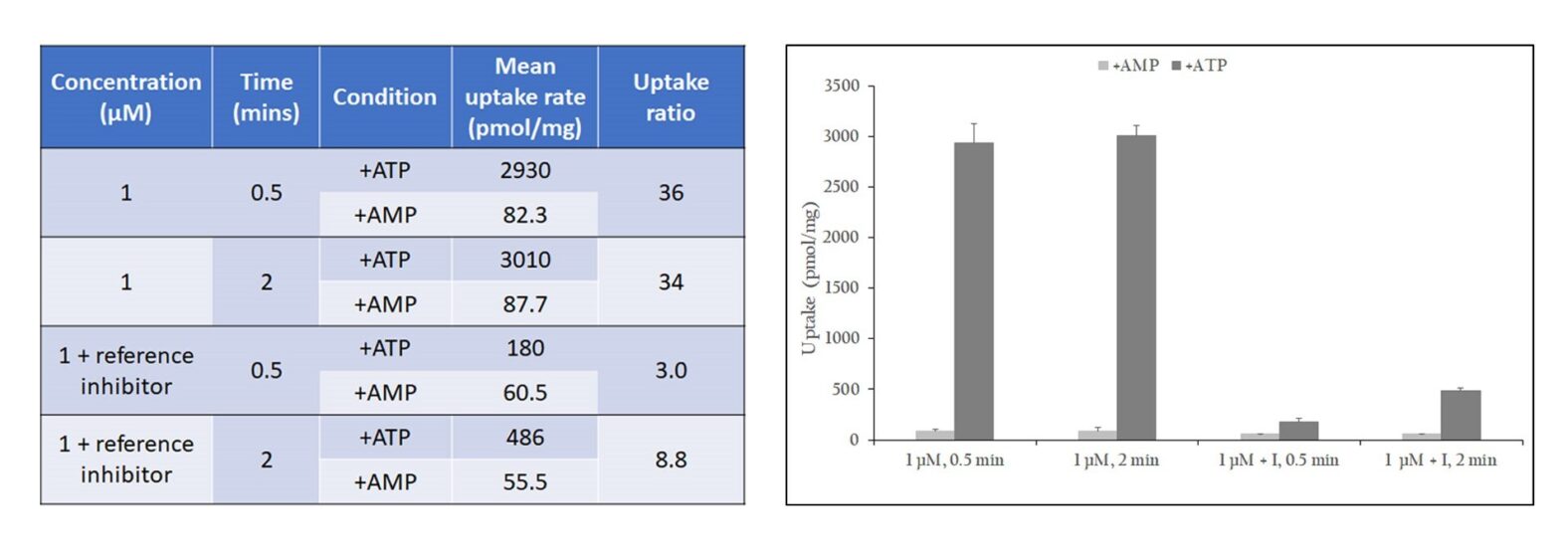 Mitigating False Negatives in P-gp & BCRP Substrate Identification - Evotec