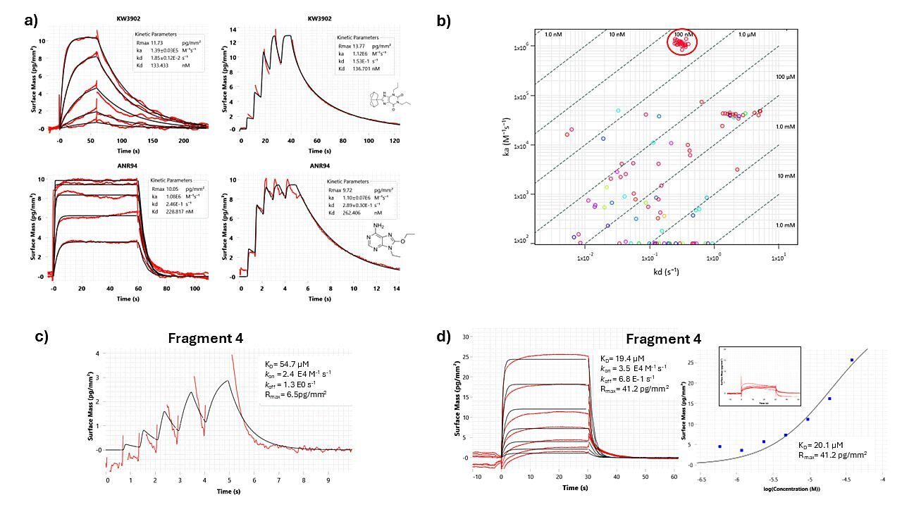 Unlocking the Potential of GPCR Drug Discovery with Cutting-Edge ...