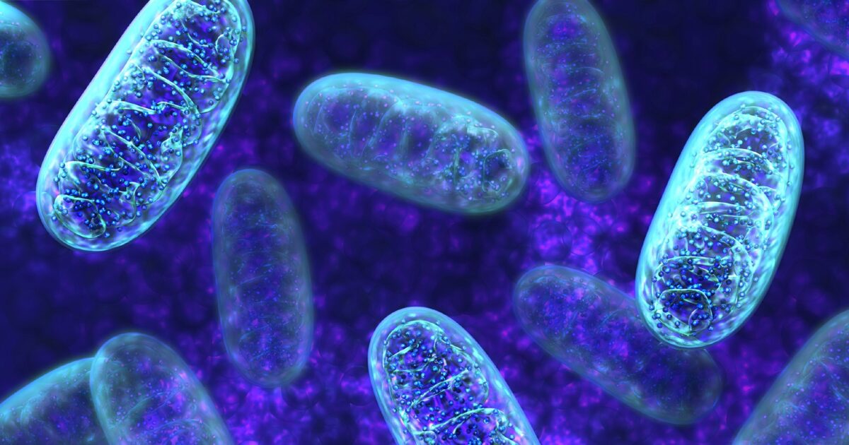 Shining a Spotlight on the Mighty Mitochondria - Evotec