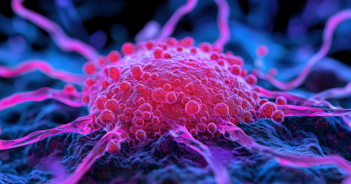 The Crucial Role of Immunological Synapses in Cellular Communication: The Cornerstone of Immune ...