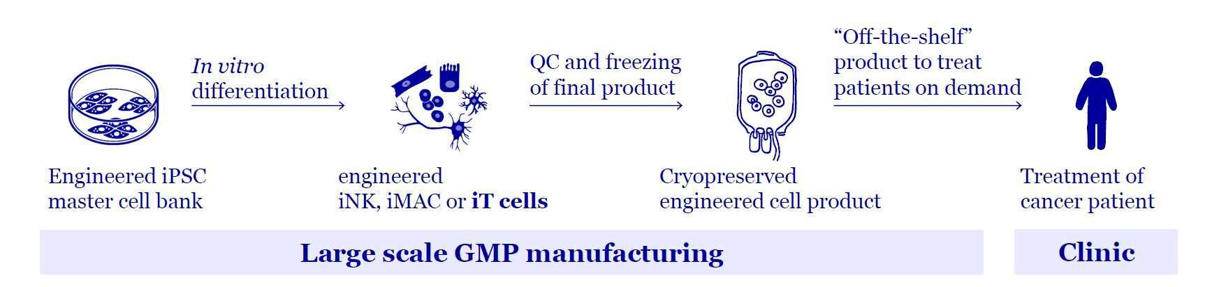 Addressing Unmet Challenges in CAR T Cell Therapeutics - Evotec