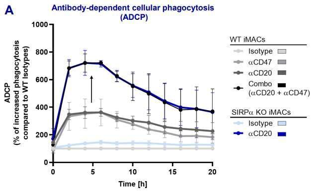 Combatting Solid Tumors With iPSC-Derived Macrophage (iMAC) Cell Therapy - Evotec