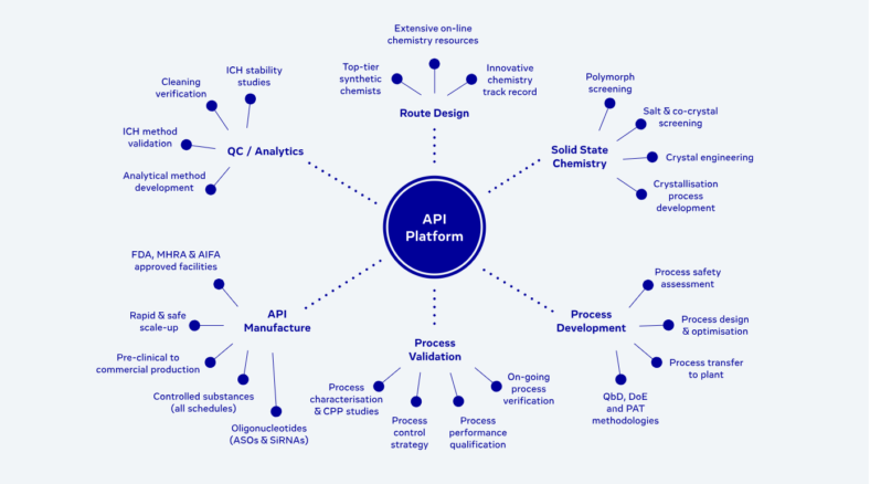 Key Considerations for API Process Development and Optimization - Evotec