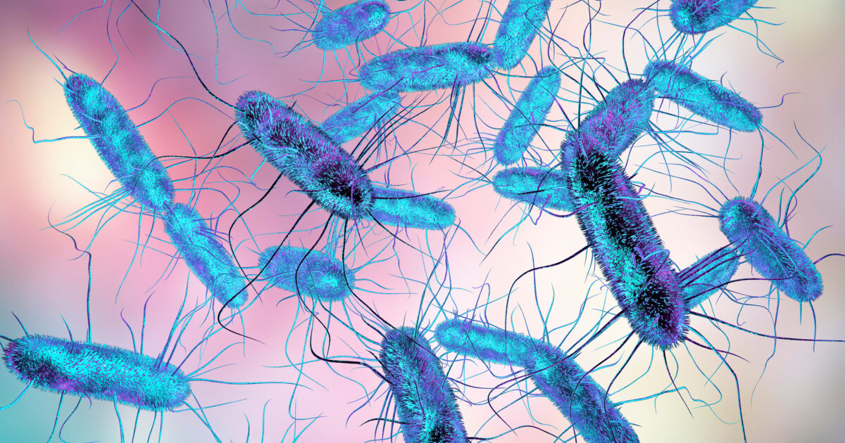 Potentiation of Antibiotic Activity by a Novel Cationic Peptide, SPR741 ...