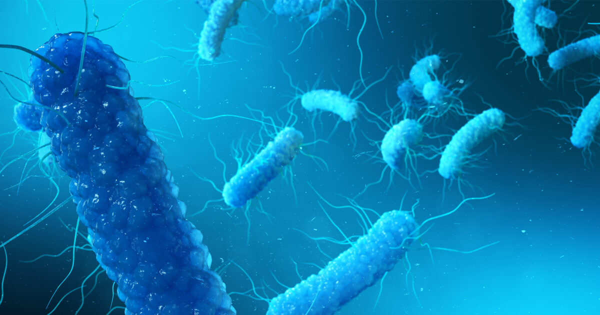 In vivo Efficacy of Peptide SPR741 in Gram Negative Bacterial Infection ...