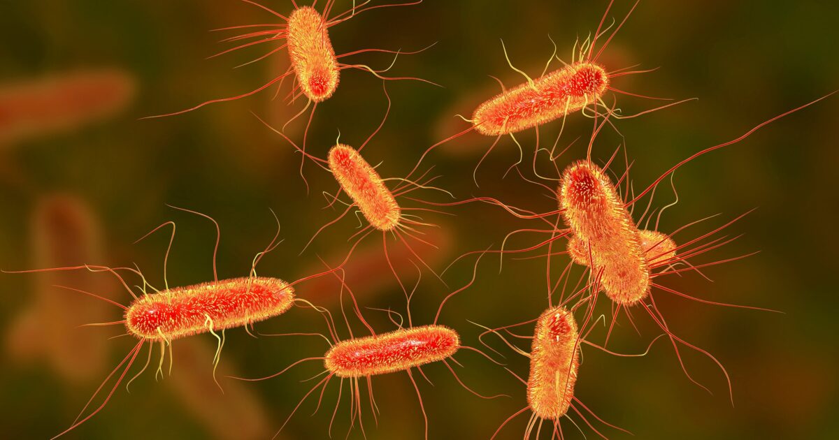 In vivo Efficacy of Novel Antimicrobial Peptide Spr741 and Rifampicin ...