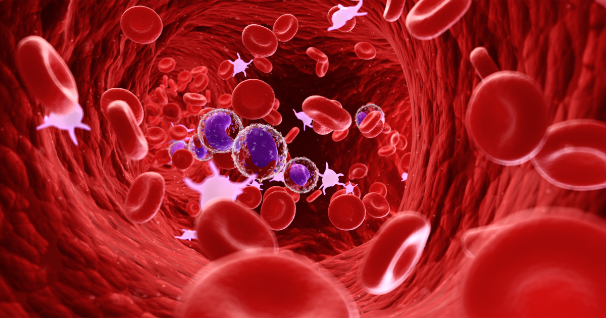 Validation of a Serum-Free Approach to Facilitate the Development of High-Throughput ...