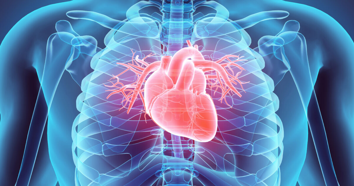 In vitro 3D Heart - Microtissue Model for Understanding Cardiotoxicity ...