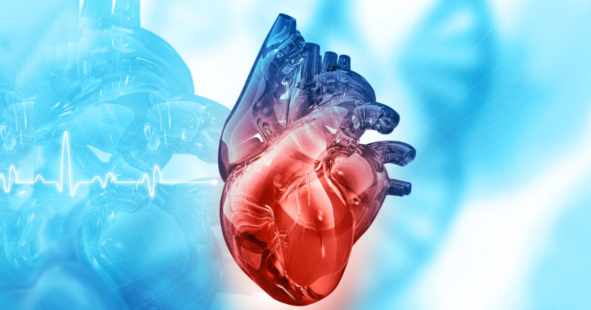 Understanding BMS-986094 Cardiotoxicity Using Human iPSC-Derived ...