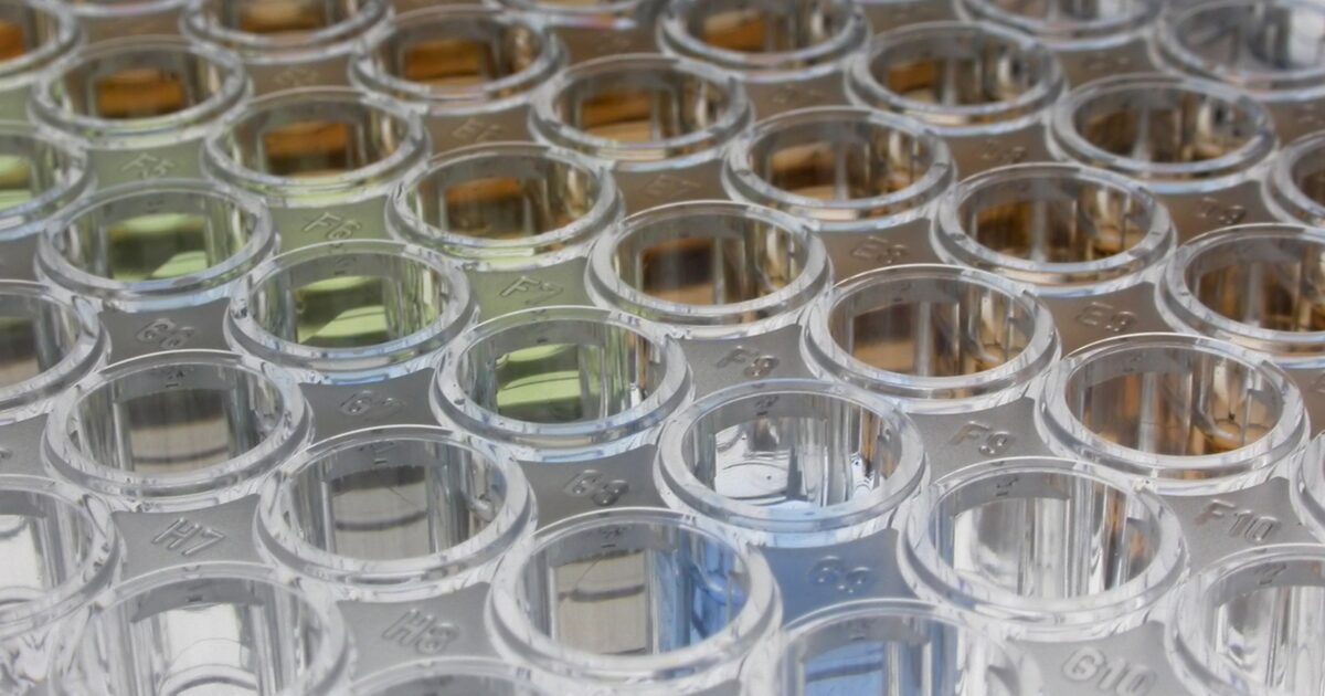 Screening for Drug-Induced Effects on Cholesterol Metabolism - Evotec