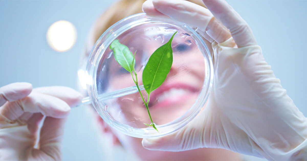 Biotech Partnership Success Stories | Evotec