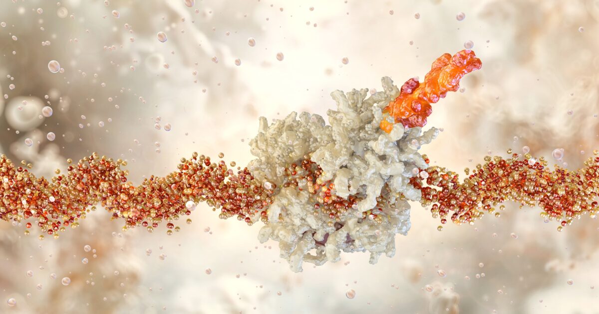 In Vitro Transcription/Translation (IVTT) Services - Evotec