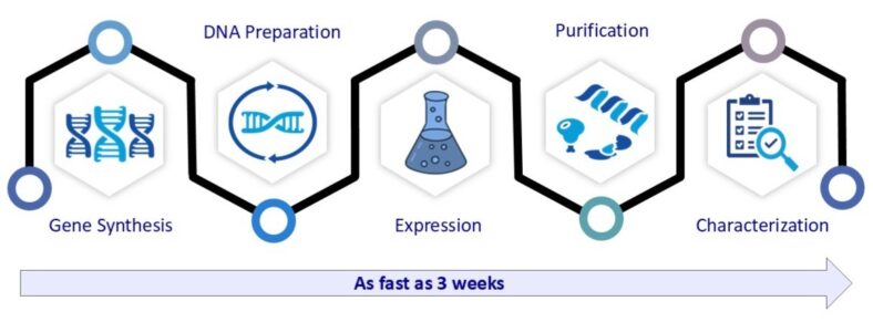 Protein Expression Services - Evotec