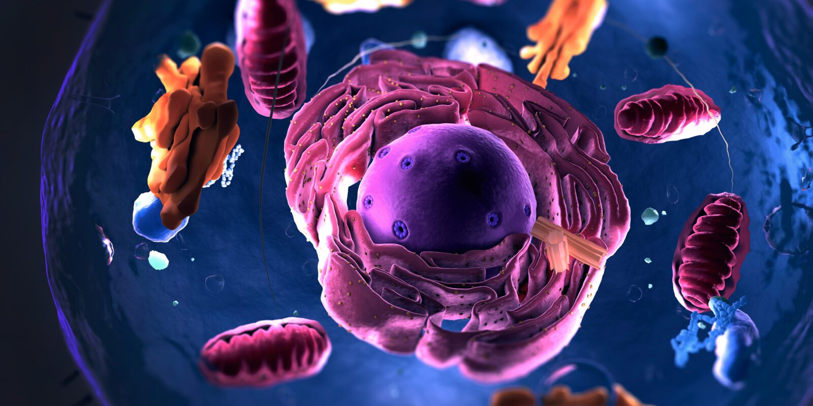 Cell Based Assay Services Evotec