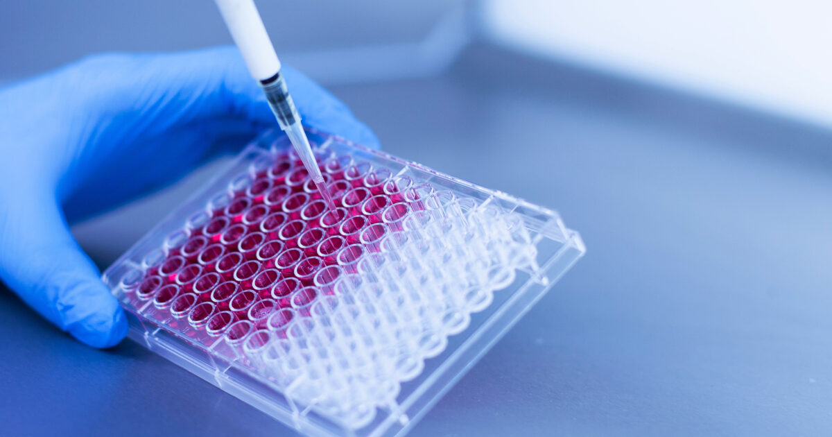 Oligonucleotide Screening, Potency and Safety: Evotec