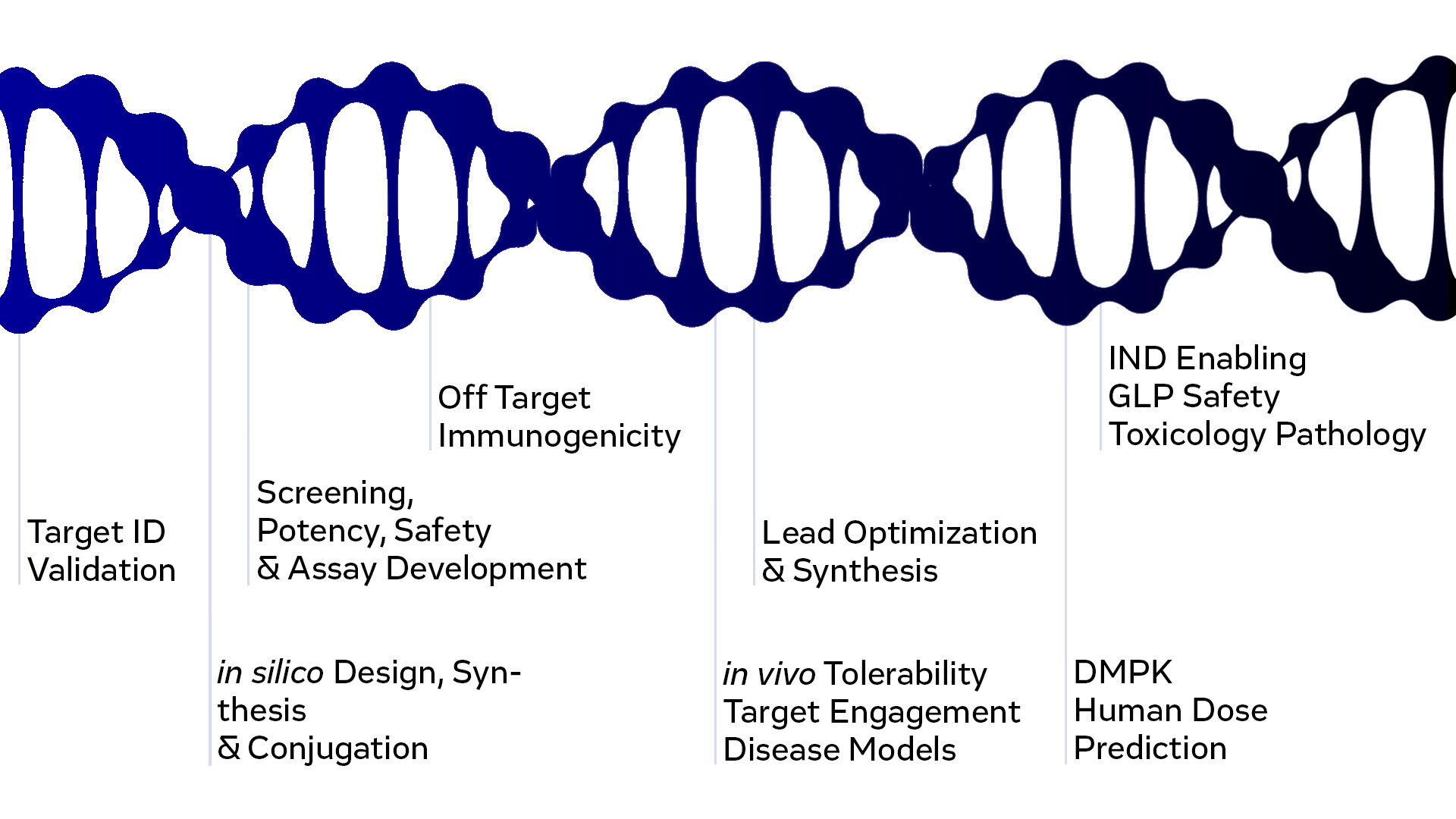 Oligonucleotide Therapeutics - Evotec
