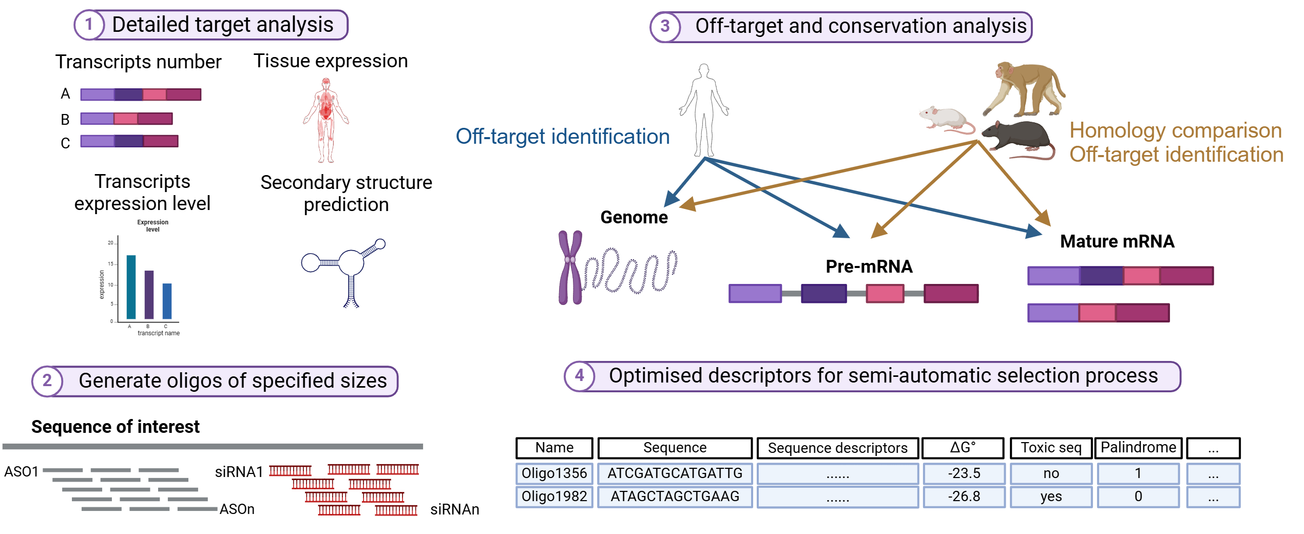 Oligonucleotide Design Services - Evotec