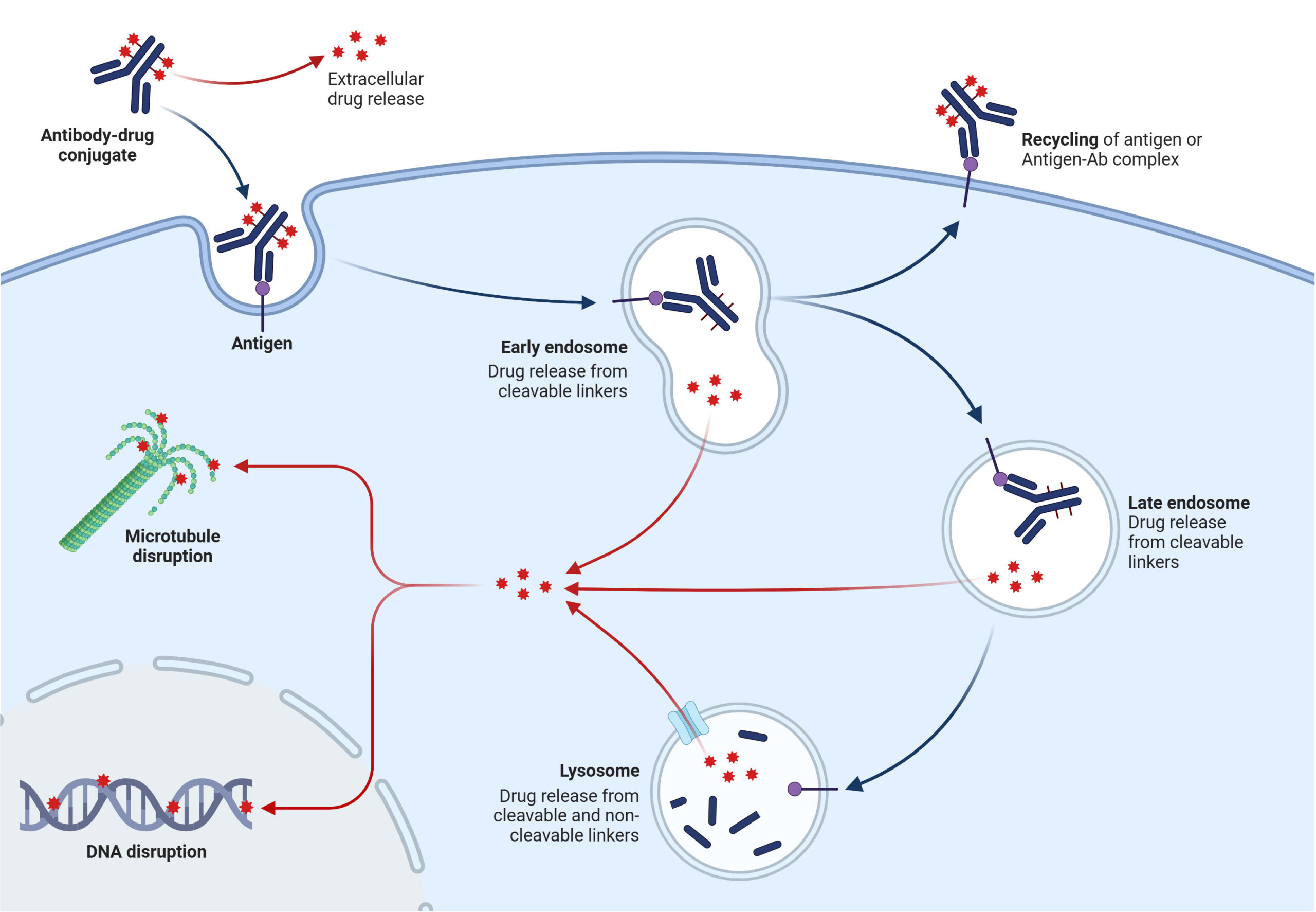 Antibody Drug Conjugates- Evotec