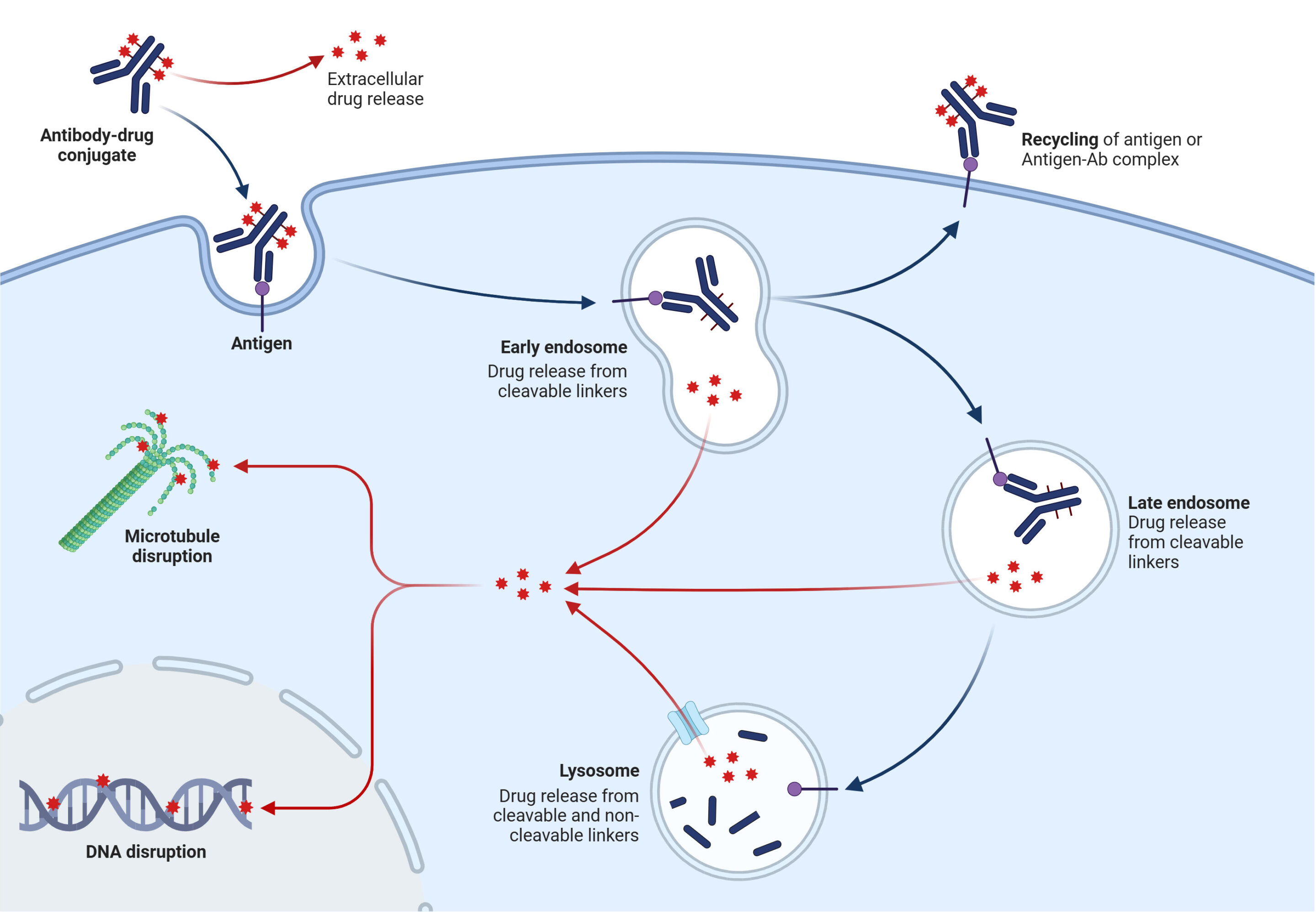 Antibody Drug Conjugates- Evotec