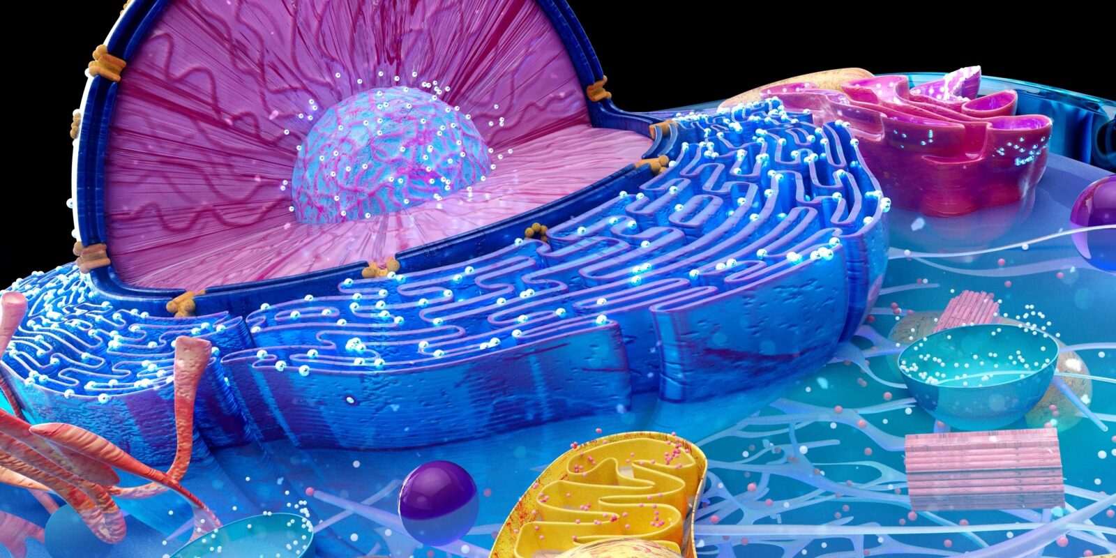 RNA Targeted Therapies | Evotec