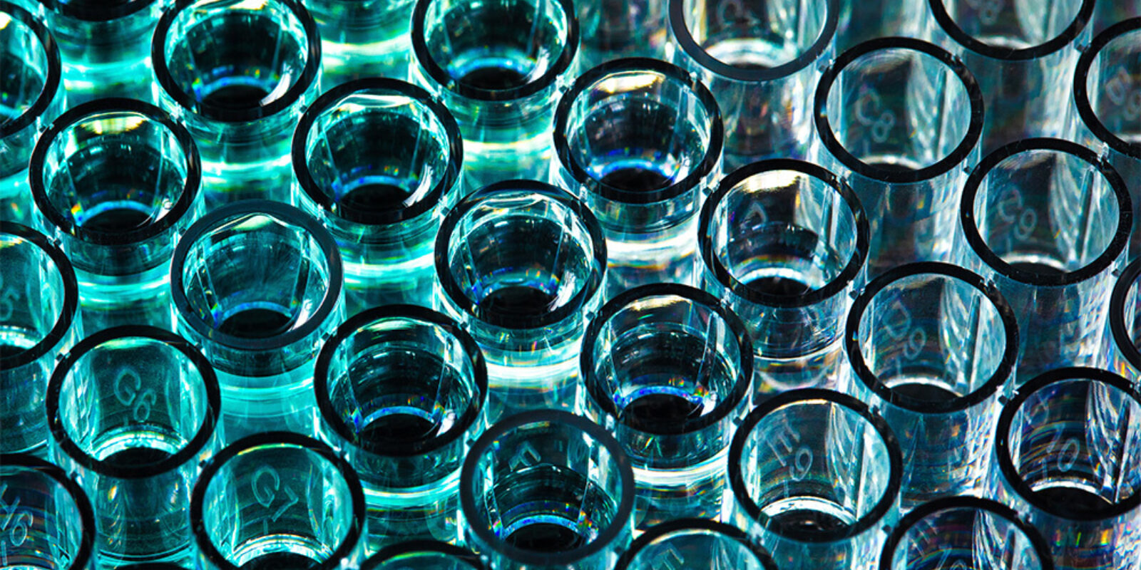 Cytochrome P450 Induction | Cyprotex ADME-Tox Solutions | Evotec