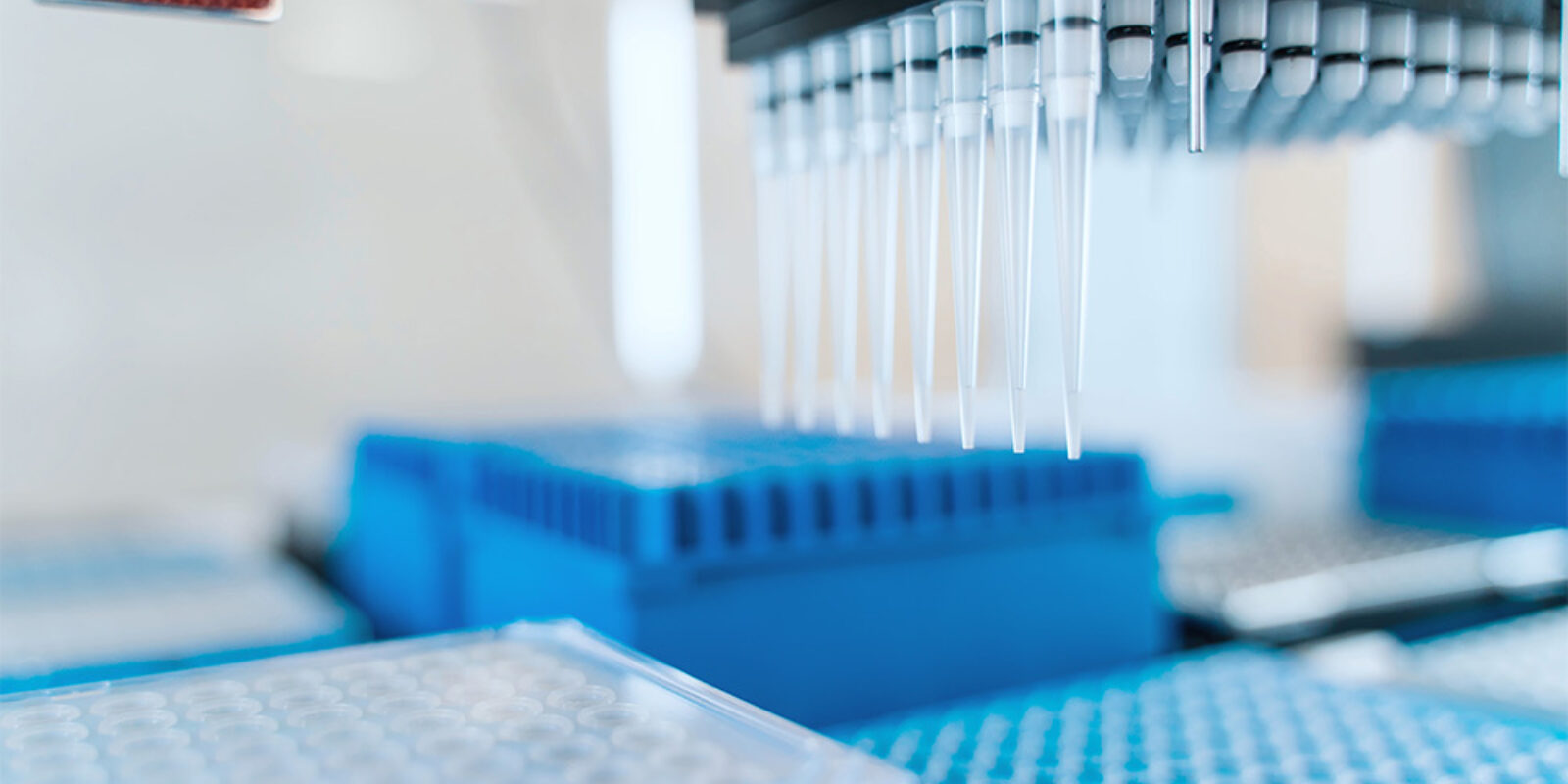 Cyprotex Pharmacokinetics (PK) Services - Evotec