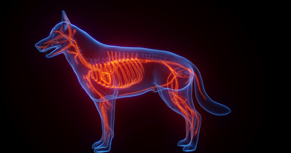 Animal Health | Evotec