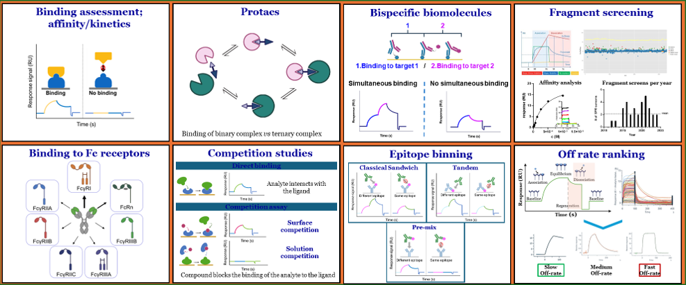 Surface Plasmon Resonance Spr Services Evotec