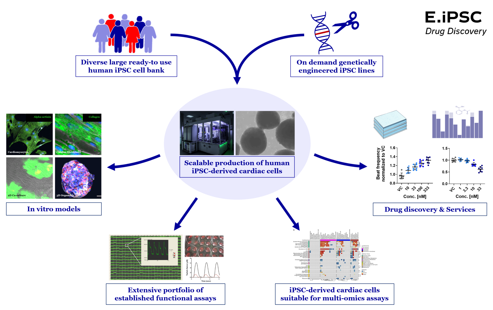 Cardiovascular Disease - Evotec
