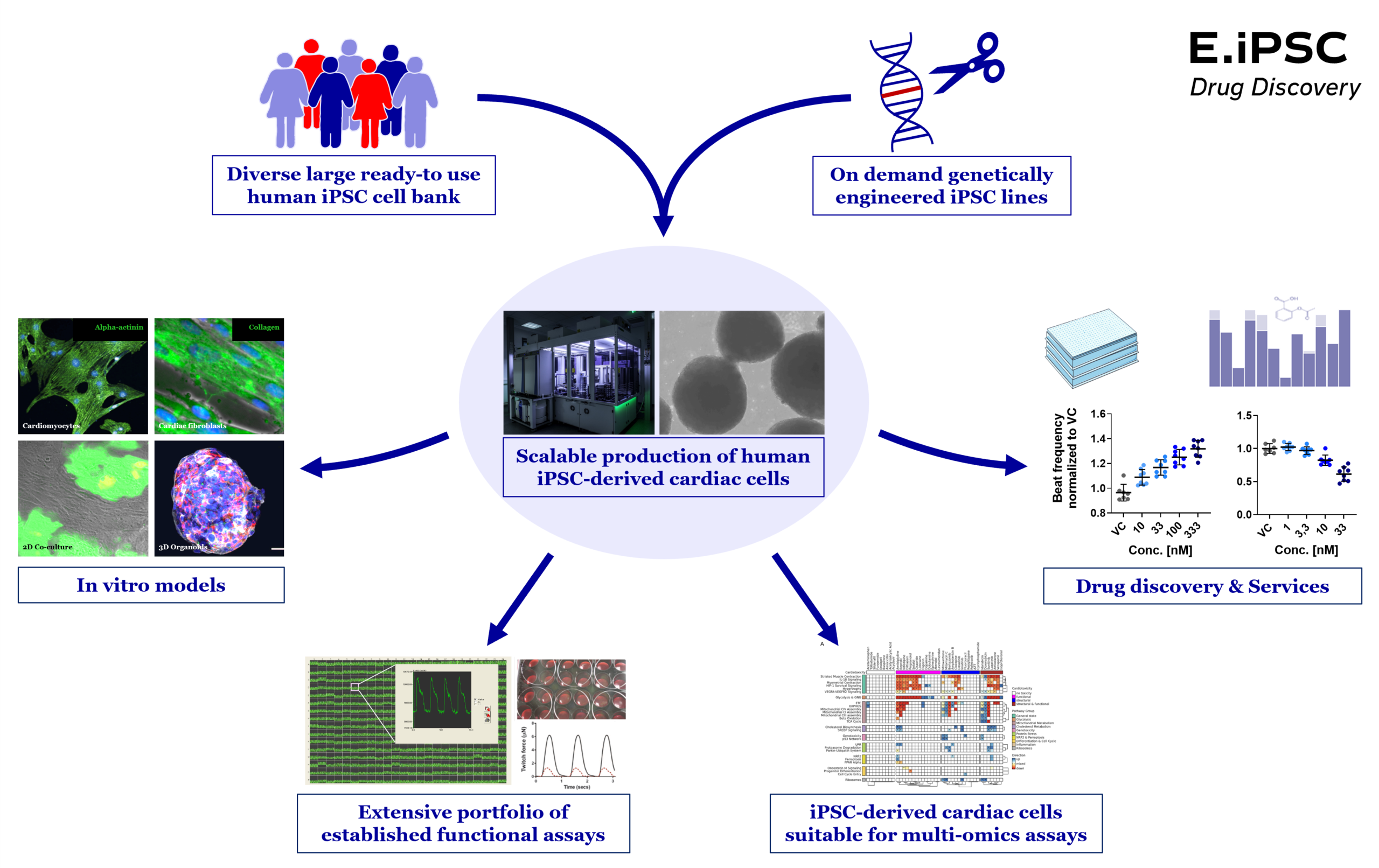 Cardiovascular Disease - Evotec