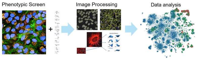 Cell Painting in Drug Discovery - Evotec